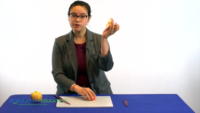 Teacher Activity Demonstrations - Population Education