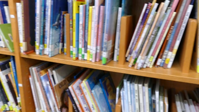 HillRAP Reading Intervention Videos - Hill Learning Center