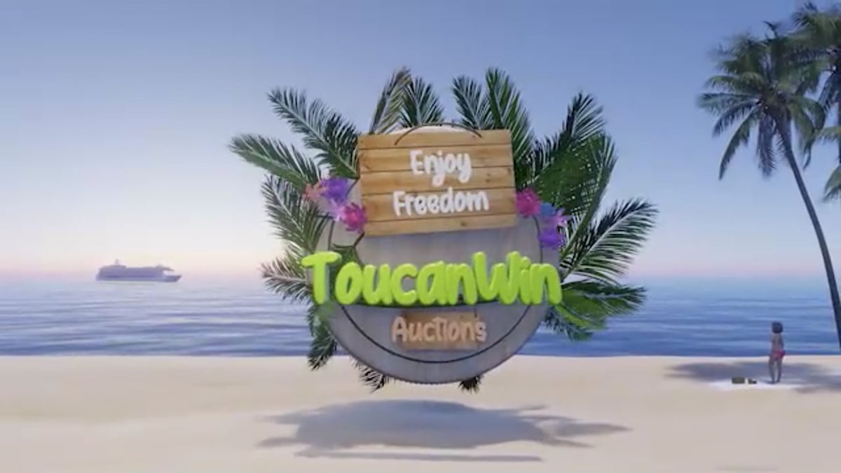 ToucanWin Crowdfunded Auctions Overviews