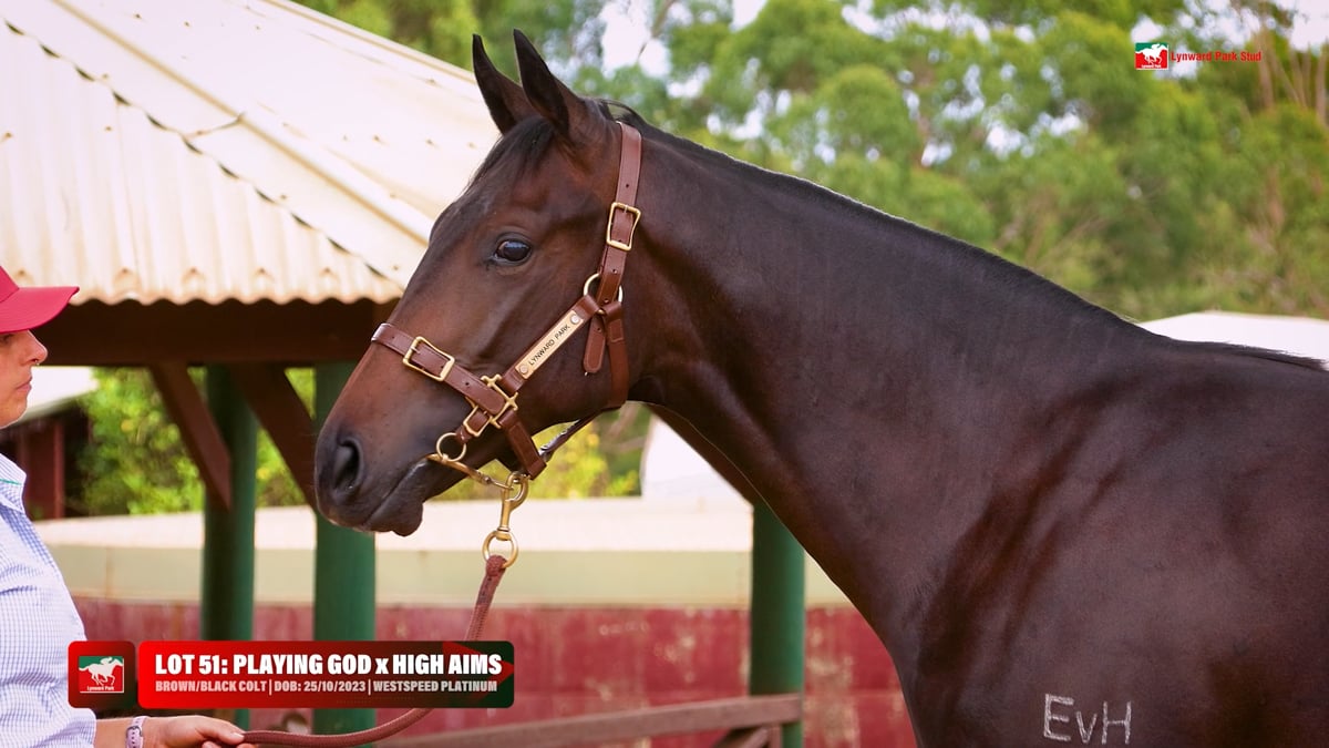 Lynward Park Stud - 2025 Magic Millions Yearling Draft on Vimeo