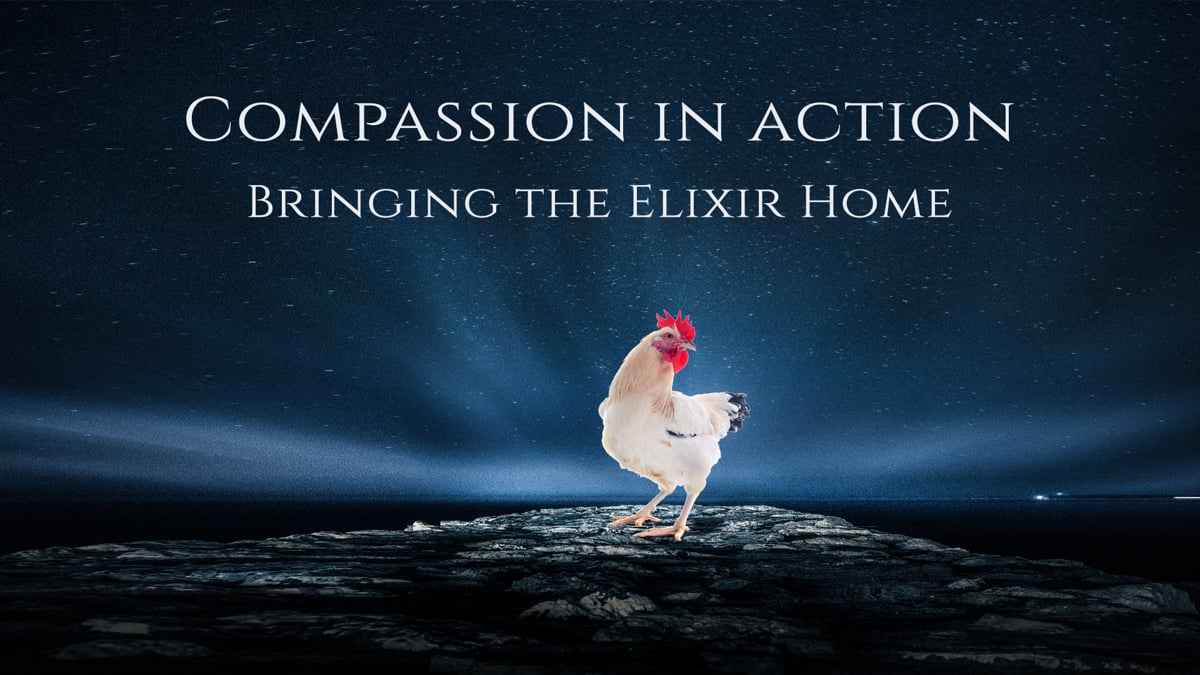 Compassion In Action - Bringing the Elixir Home on Vimeo