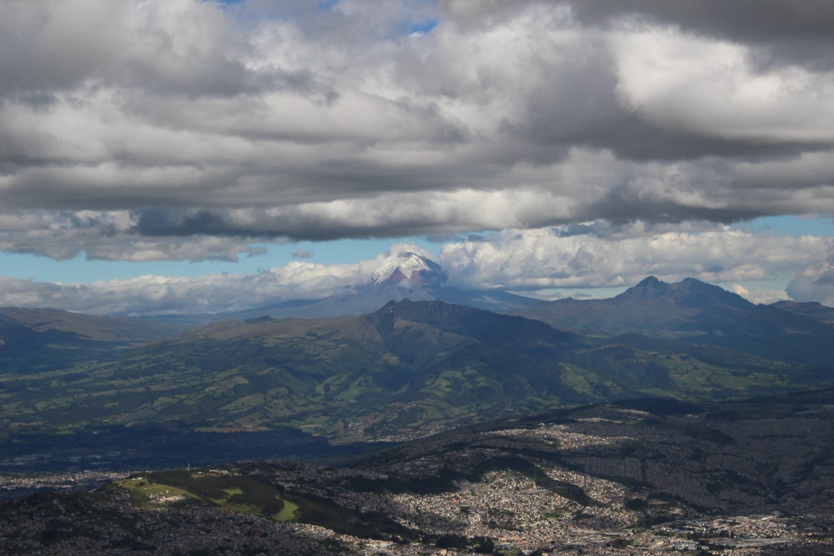 About Multiplication Network