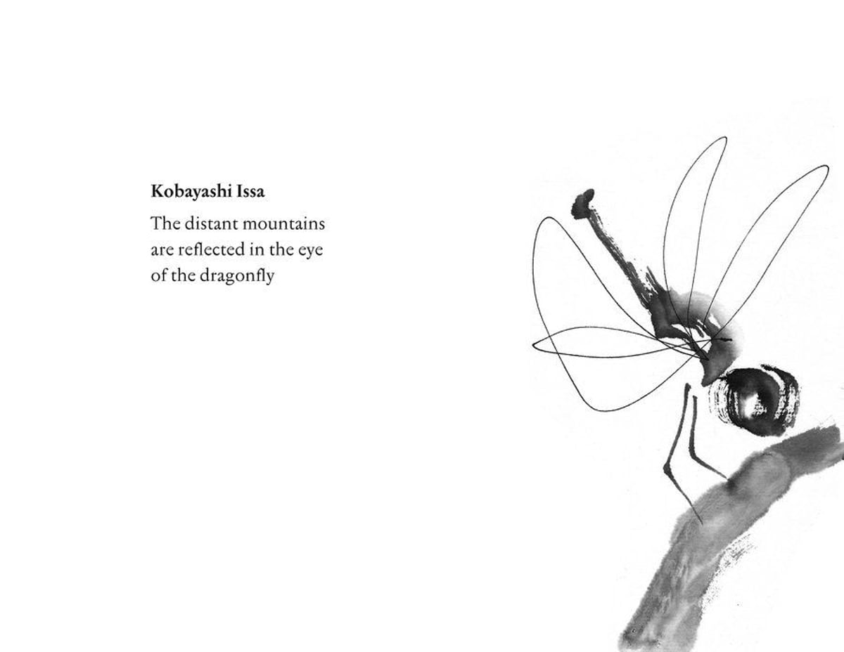 Level 4 Poetic Films 2025 on Vimeo