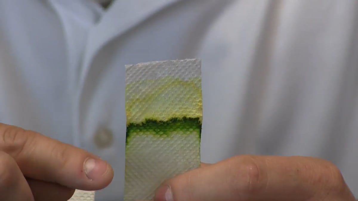 Science for Kids on Vimeo