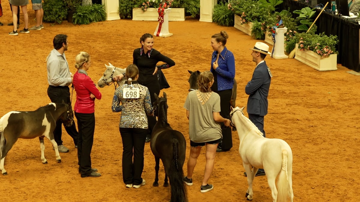 AMHA World Championship Show 2021