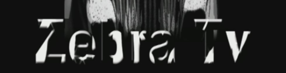 Zebra TV on Vimeo