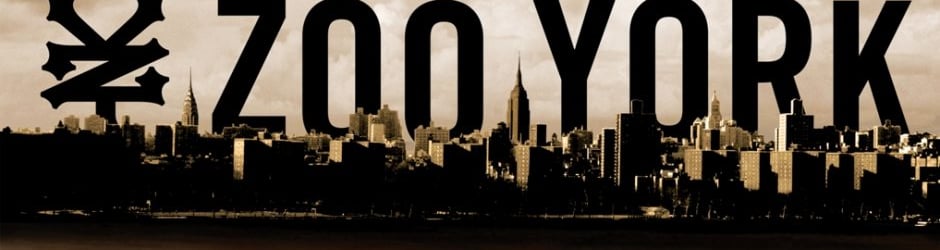 THE ZOO YORK CHANNEL on Vimeo