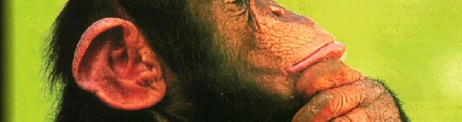 Philosophy Monkey on Vimeo