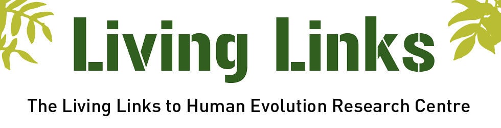 Living Links on Vimeo