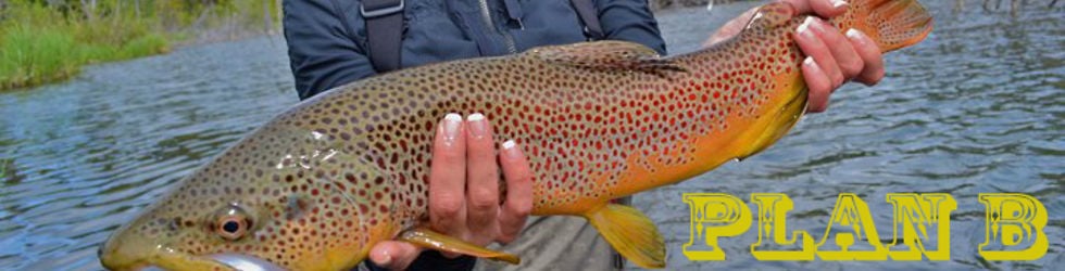 FACELESS FLY FISHING MEDIA on Vimeo