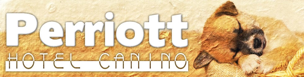 Perriott Hotel Canino on Vimeo