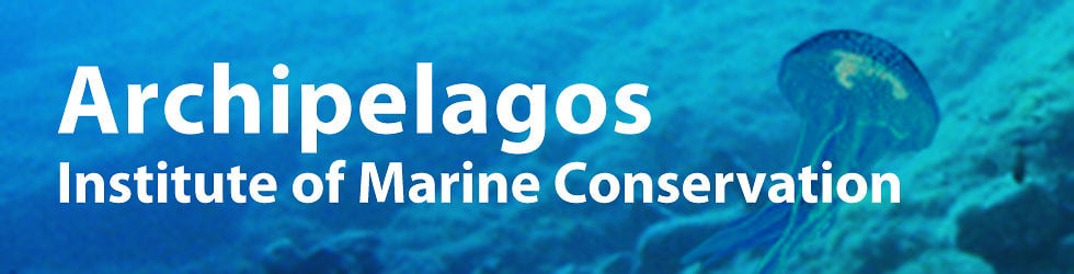 Archipelagos, Institute of Marine Conservation on Vimeo