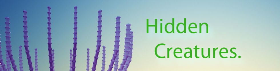 HIDDEN CREATURES on Vimeo