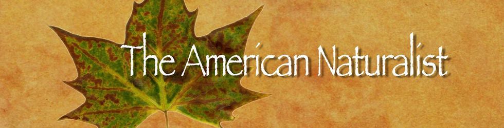 The American Naturalist on Vimeo
