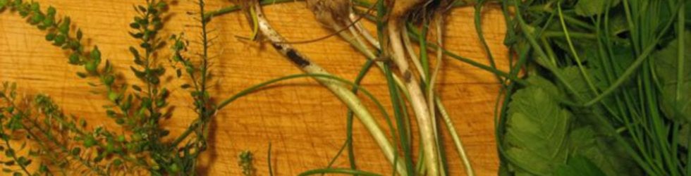 FOOD. CURATED. - The Best Food Videos on Vimeo