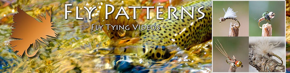 Fly Patterns on Vimeo