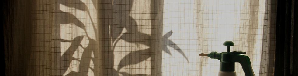 DIVYA GOPALAN: Showreel on Vimeo