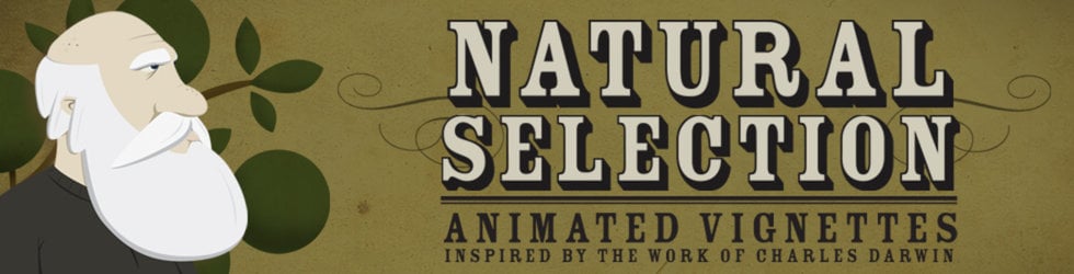 Natural Selection on Vimeo
