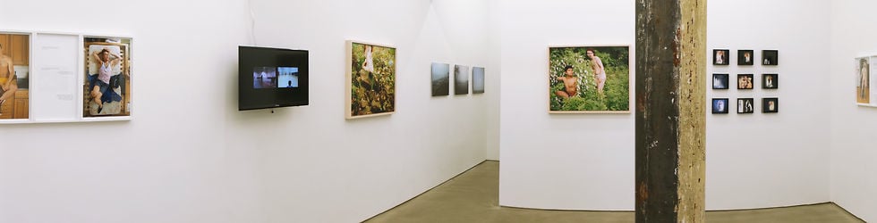 David Getsy lectures on The Participants at Denny Gallery on Vimeo