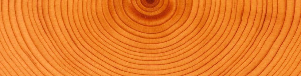 SKLK Animation on Vimeo