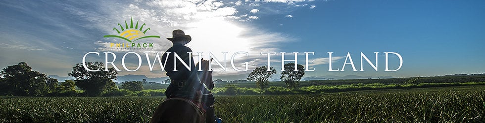 PHILPACK CORPORATION on Vimeo