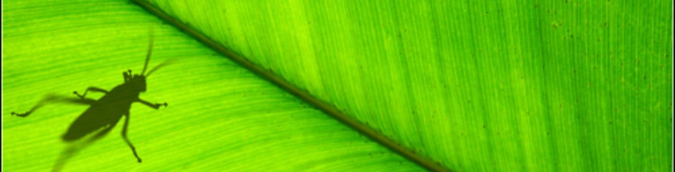 Grasshopper Basics With David Rutten On Vimeo 