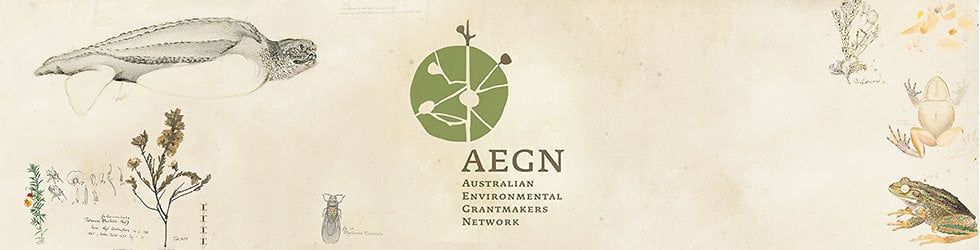 AEGN Financial Sector e-Learning video clips on Vimeo
