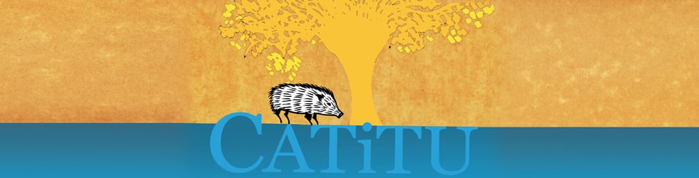 Instituto Catitu (english version) on Vimeo