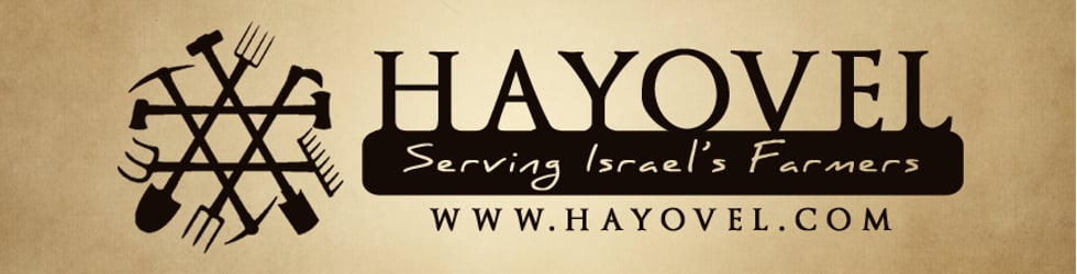 HaYovel on Vimeo