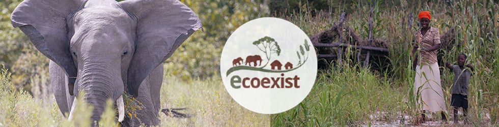 Ecoexist Project on Vimeo