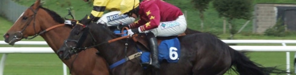 HORSE RACING INTERVIEWS FROM VG TIPS on Vimeo