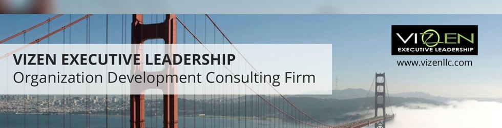 Vizen Executive Leadership on Vimeo