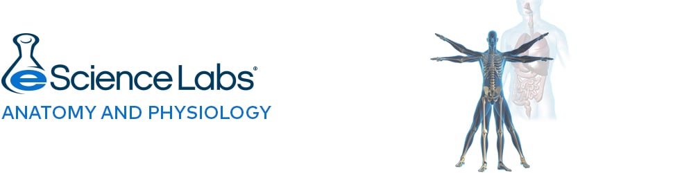 eScience Labs Anatomy and Physiology on Vimeo