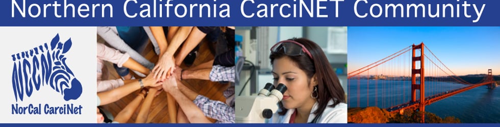 2016 Bay Area NETs Conference on Vimeo