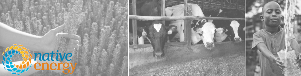 Native Energy on Vimeo