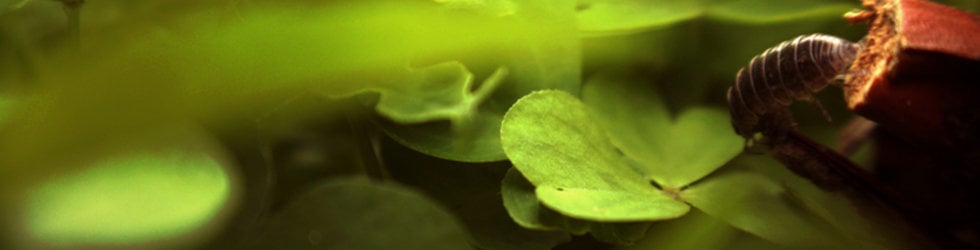 THE UNSEEN WORLD on Vimeo