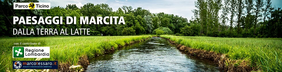 Paesaggi di marcita - Parco del Ticino on Vimeo