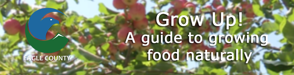 Grow Up! A guide to growing food naturally on Vimeo