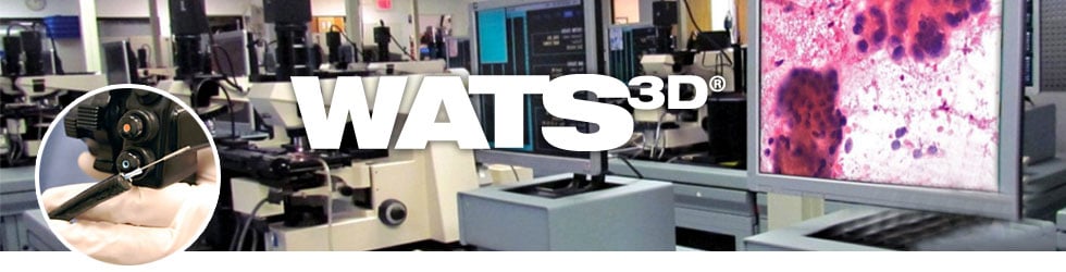 WATS3D Professionals on Vimeo