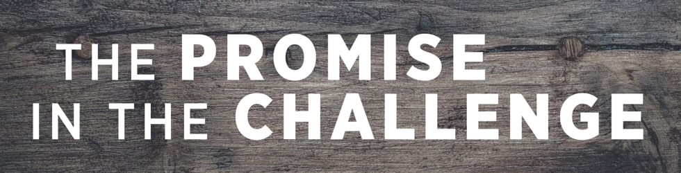 The Promise in the Challenge on Vimeo