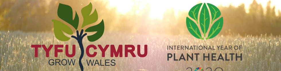 Tyfu Cymru Virtual Conference on Vimeo