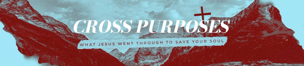 Cross Purposes on Vimeo