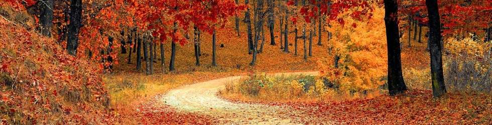 Ines Vasquez Album on Vimeo