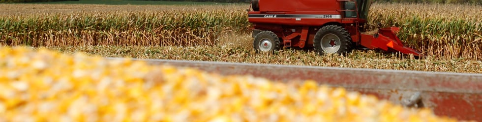 Barry Milne channel on Vimeo