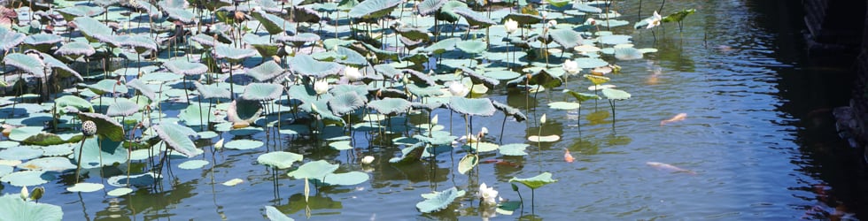 Rhia O'Moore on Vimeo