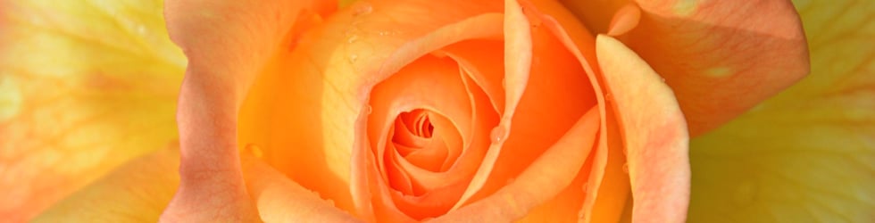 Austin Pollard on Vimeo