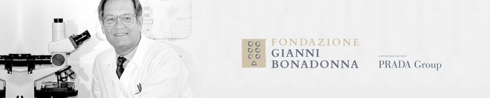 Fondazione Gianni Bonadonna on Vimeo