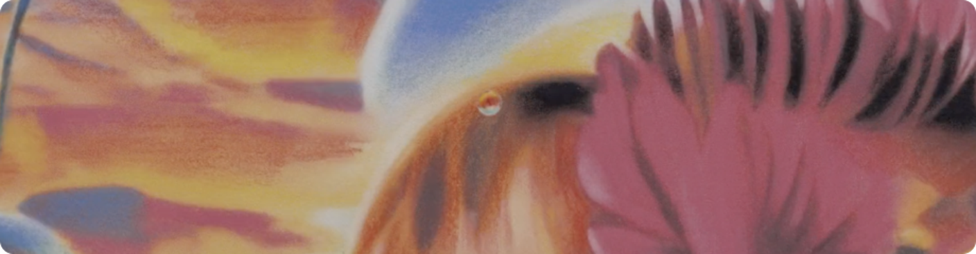 2022 Best Independent and Branded Videos on Vimeo