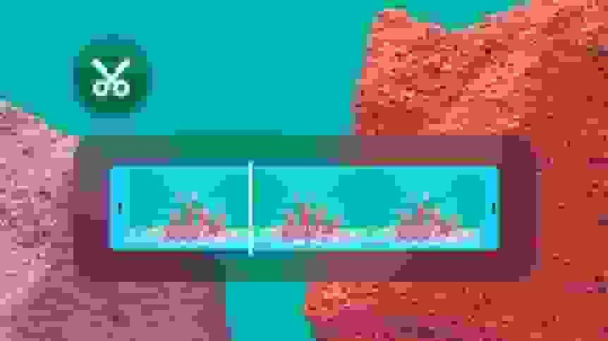 Online GIF Maker: Free Animated GIFs & Images