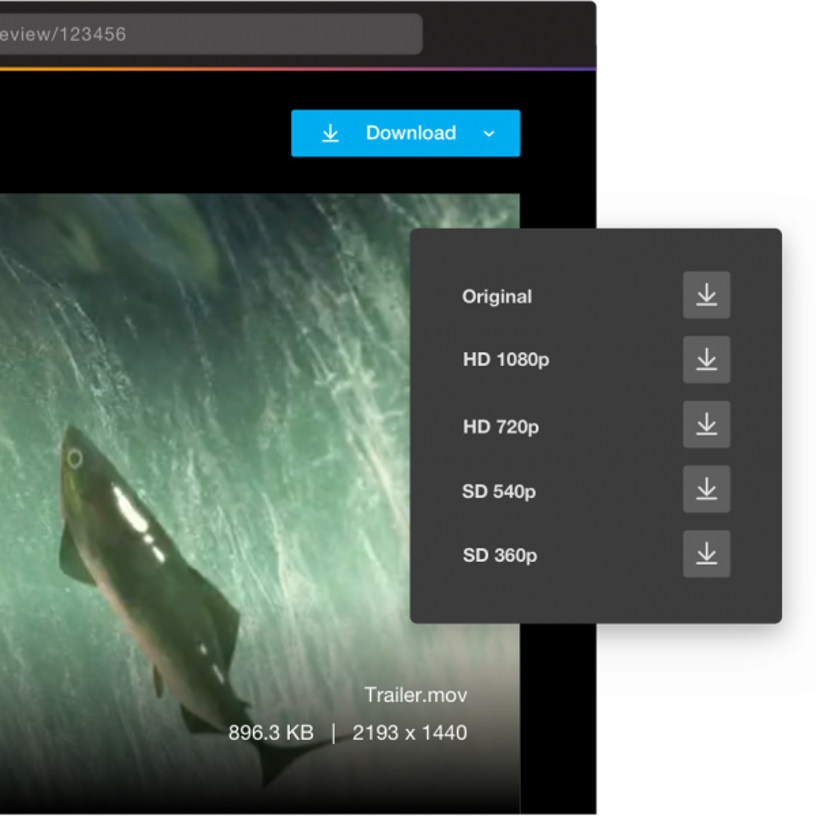 Securely Send Video Files of Any Size